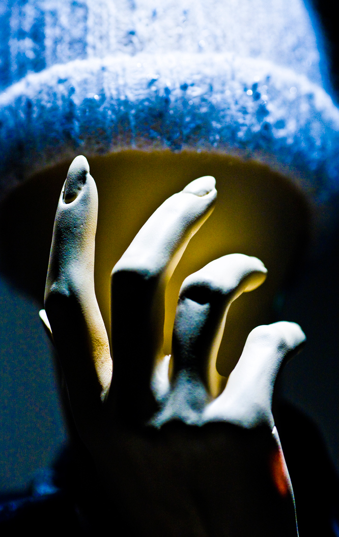 Fotos: Fotografiando lo inanimado | Cultura | EL PAÍS