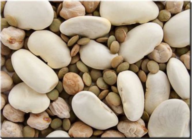 Fotos: Las mejores fotos de comida | Cultura | EL PAÍS