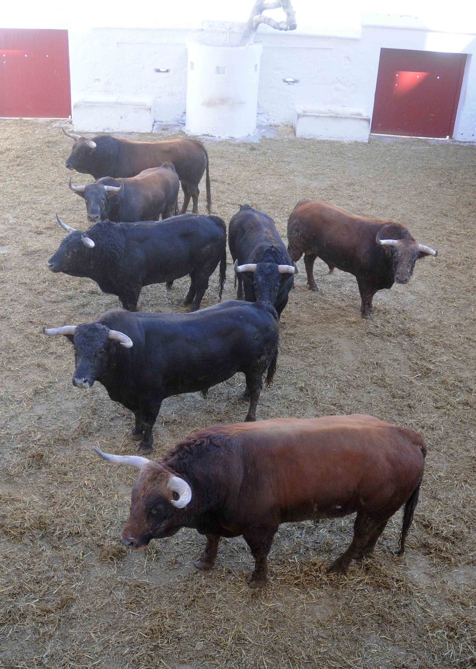 Fotos: Fuente Ymbro cierra el ciclo torista | Cultura | EL PAÍS