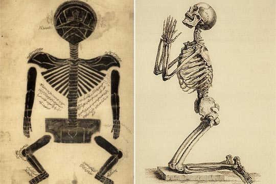 Grabados históricos del esqueleto humano | Edición impresa | EL PAÍS