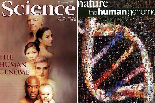Portadas de las revistas Science y Nature | Edición impresa | EL PAÍS