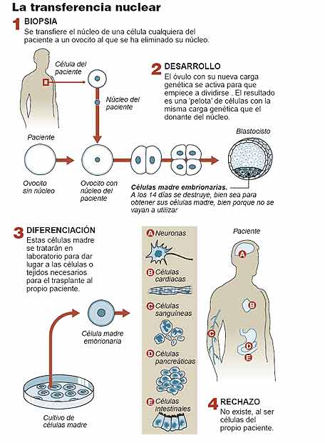 La transferencia nuclear | Edición impresa | EL PAÍS