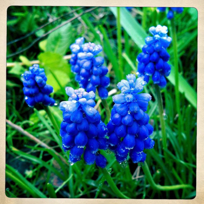 Fotos: Retrato de un jardín | Fotografía | EL PAÍS