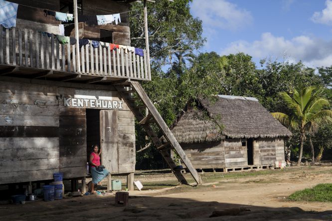Fotorrelato: Las matriarcas amarakaeri | Actualidad | EL PAÍS