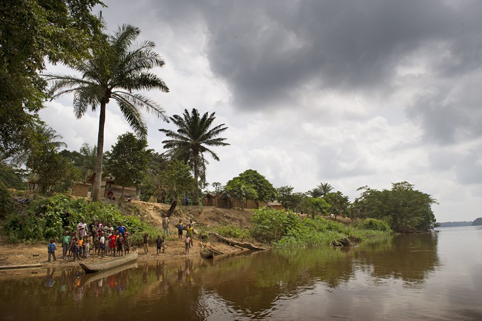 Fotos: Árboles alimento en la cuenca del Congo | Planeta Futuro | EL PAÍS