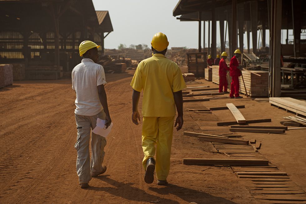 Fotos: Árboles alimento en la cuenca del Congo | Planeta Futuro | EL PAÍS