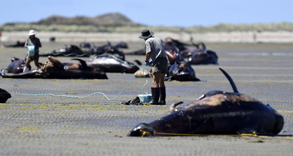 Fotos: Las imágenes del día 17/02/2015 | Fotografía | EL PAÍS