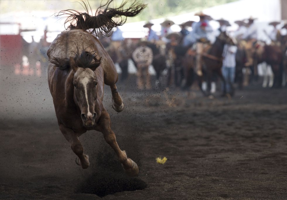 Fotos: La charrería: una centenaria tradición mexicana | Fotografía ...
