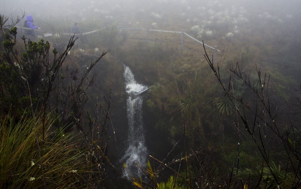 Fotos: Parque de Chingaza: Las aguas de Colombia | Internacional | EL PAÍS