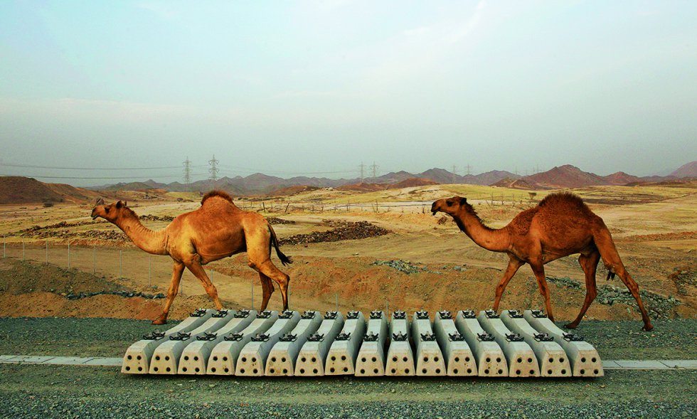 Fotos: El AVE de la Meca | Actualidad | EL PAÍS