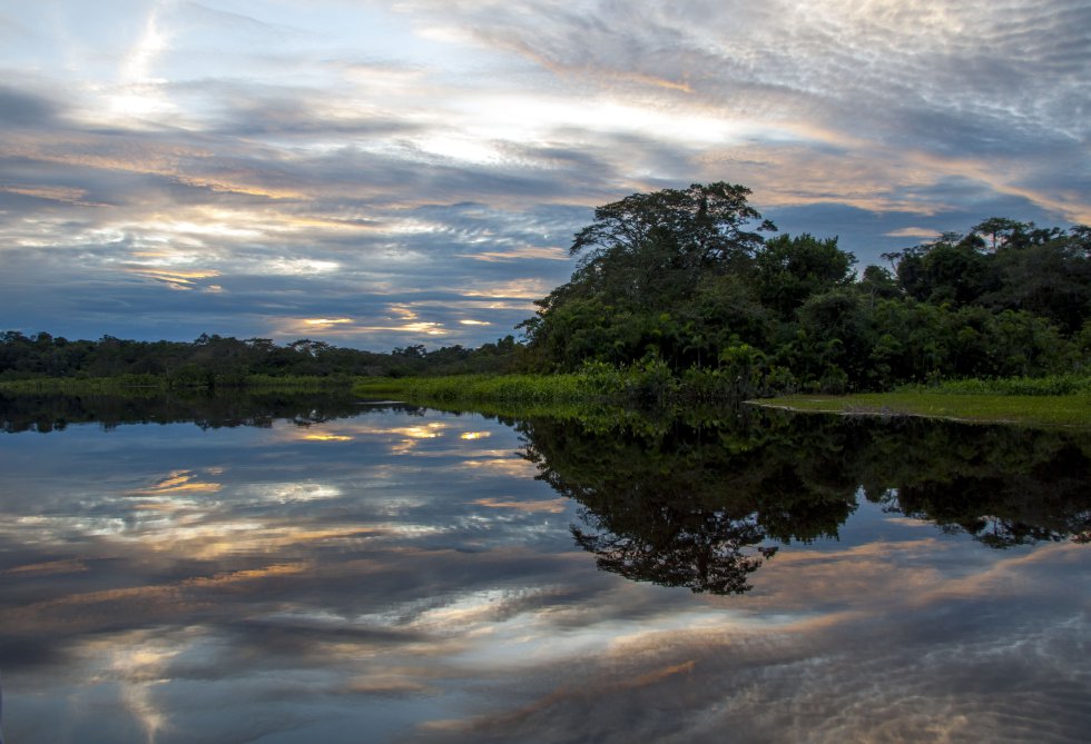 Fotos: Ecuador: Las grandes riquezas del Yasuní | Planeta Futuro | EL PAÍS