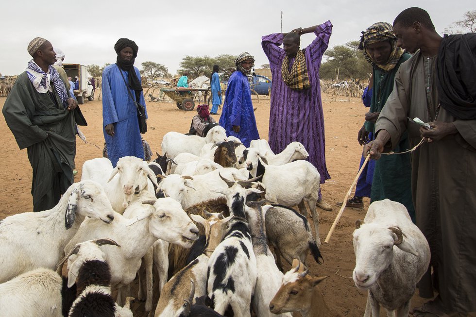 Fotorrelato: Senegal: El Ferlo, un desierto que invoca a la lluvia ...