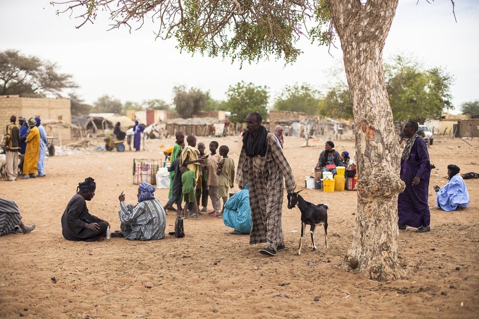 Fotorrelato: Senegal: El Ferlo, un desierto que invoca a la lluvia ...