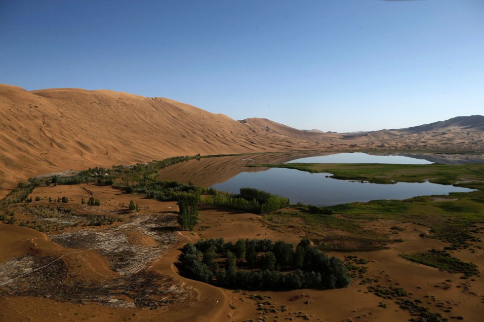 Gobi Oasis