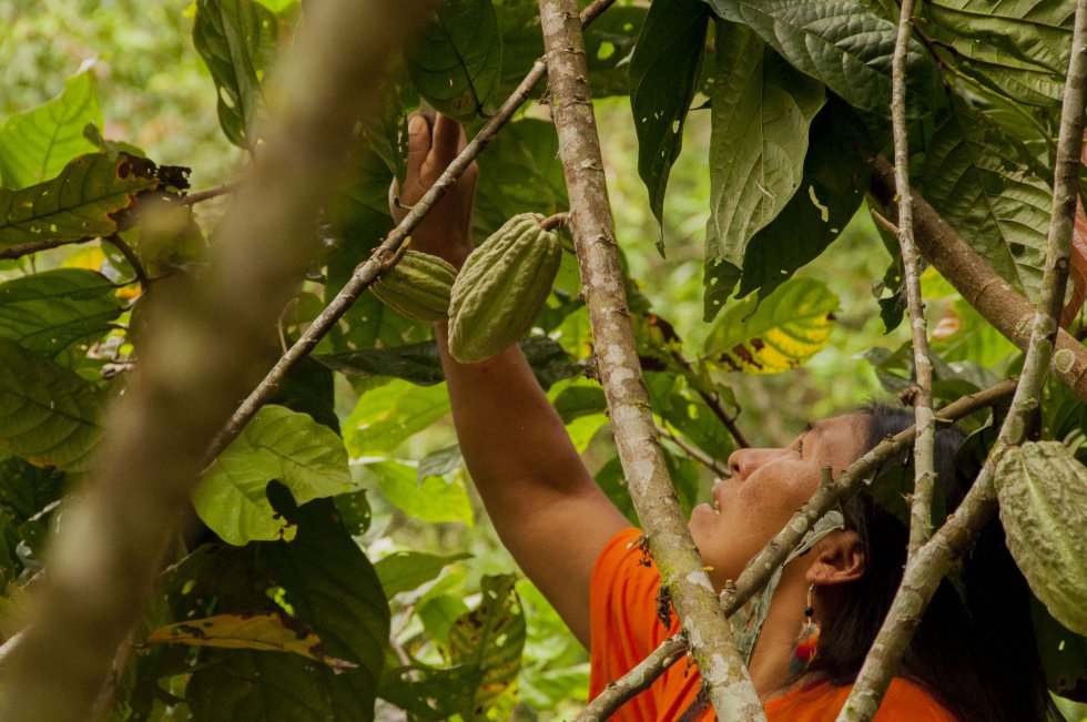 Fotos: Mujeres Waorani en busca de la paz en la Amazonia ecuatoriana ...