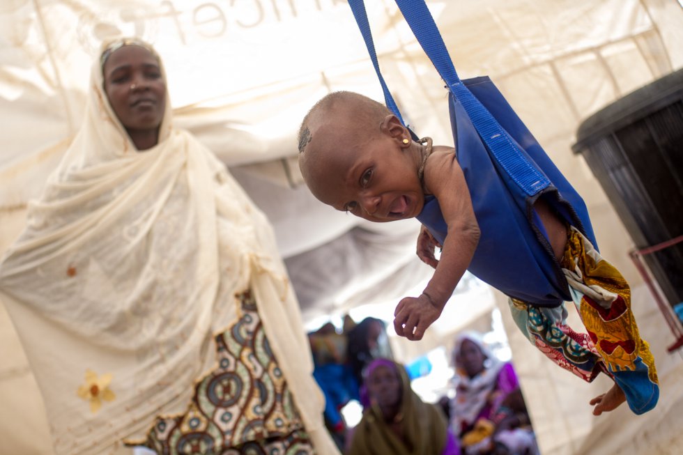 Fotos: El impacto de Boko Haram en Níger: Diffa implora alimento ...