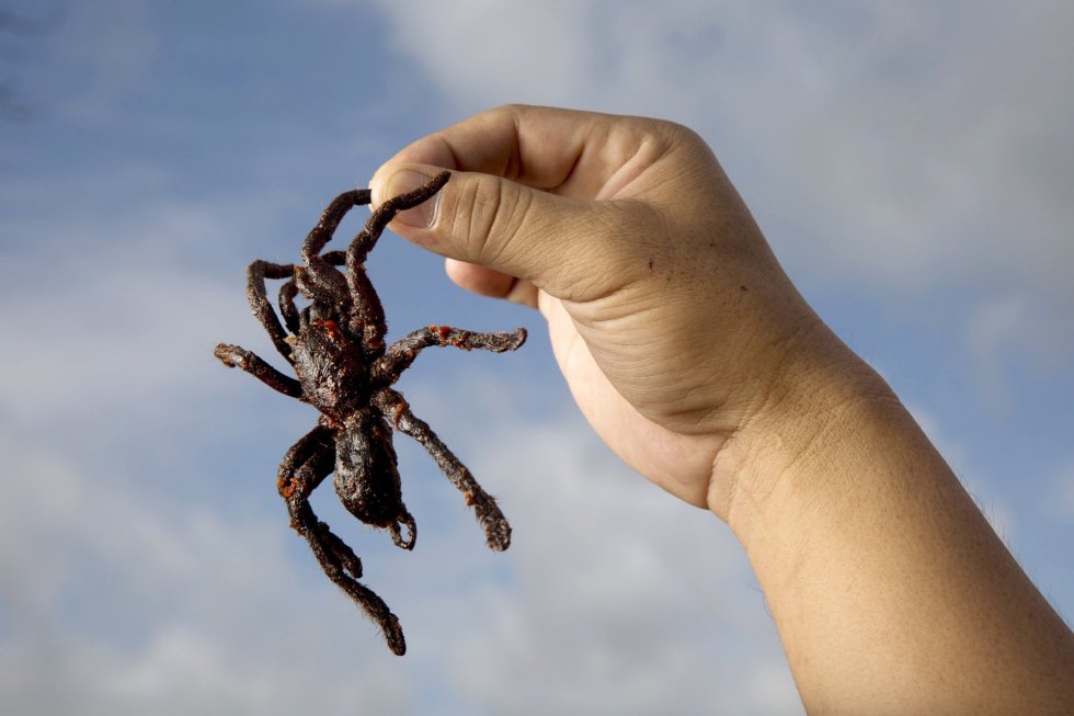 Fotos: El pueblo de las tarántulas | Internacional | EL PAÍS