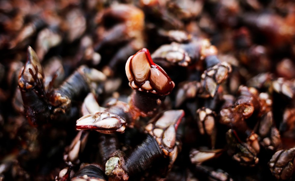 Fotos: El secreto de las rocas | Actualidad | EL PAÍS