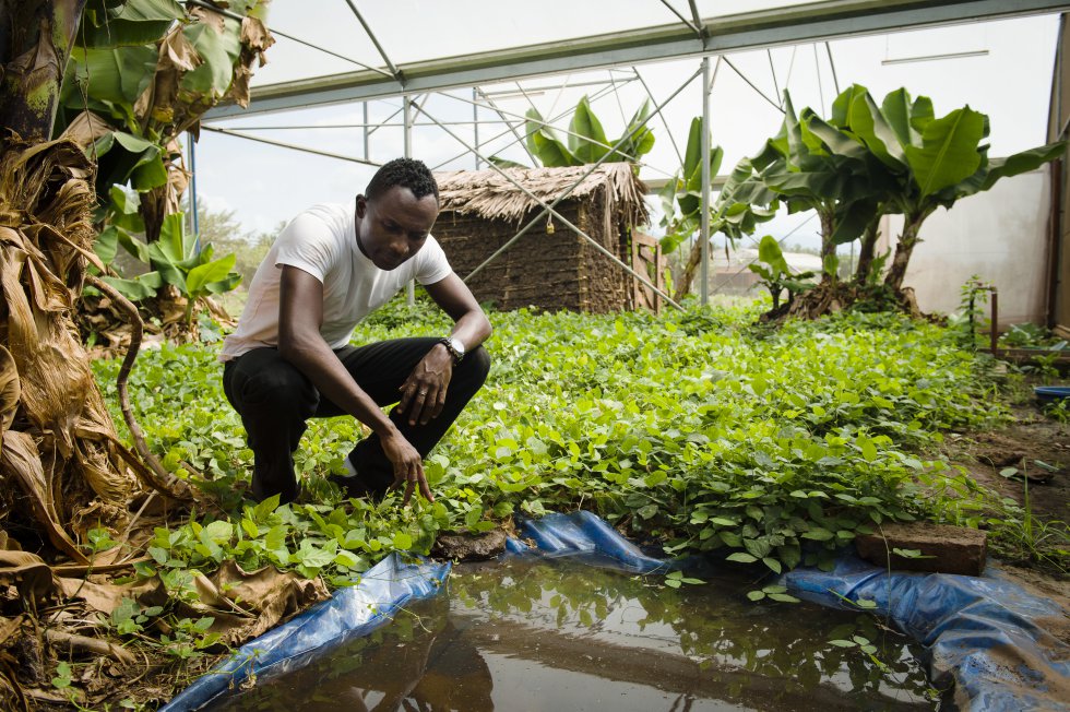 Fotos: Guerra a campo abierto contra al mosquito | Planeta Futuro | EL PAÍS
