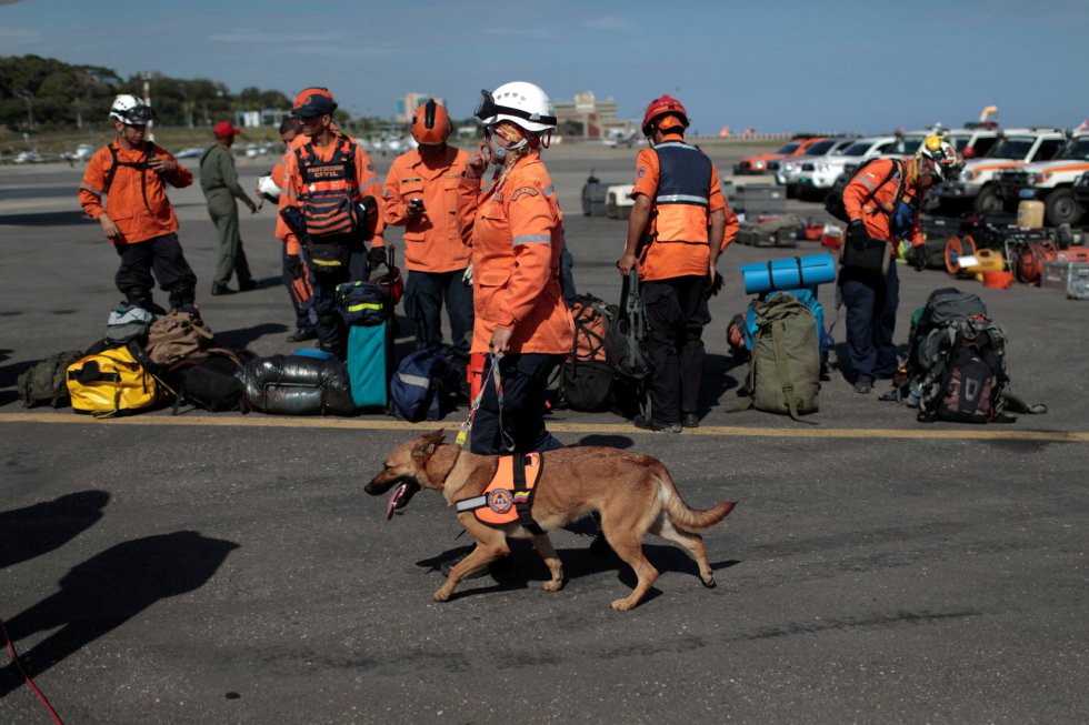 Fotos: Los perros rescatadores de México | Internacional | EL PAÍS