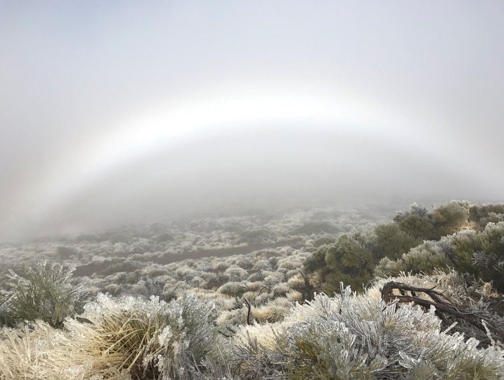 Fotos: Cencellada en el Teide | España | EL PAÍS