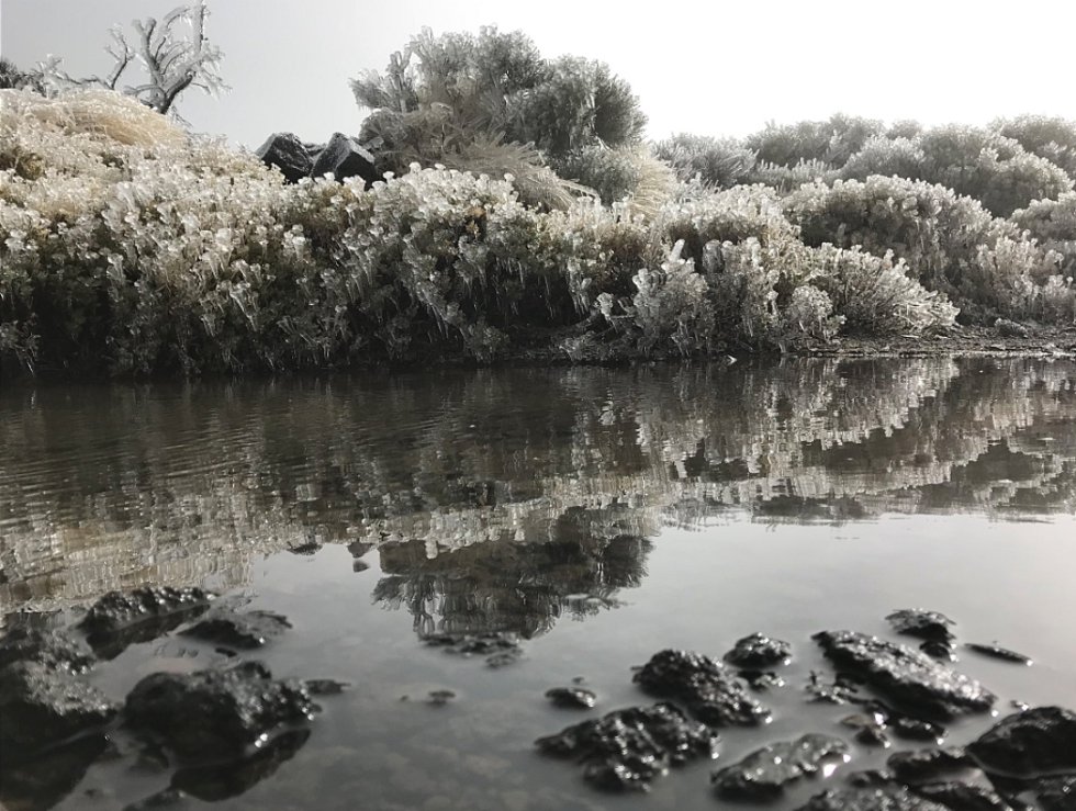 Fotos: Cencellada en el Teide | España | EL PAÍS