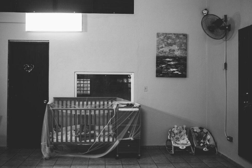 Fotos: Supervivientes por partida doble: a la naturaleza y al maltrato ...