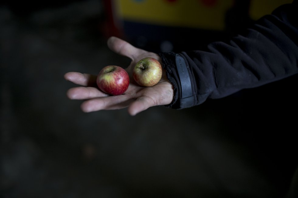 Fotos: Gente guapa come fruta fea | Planeta Futuro | EL PAÍS