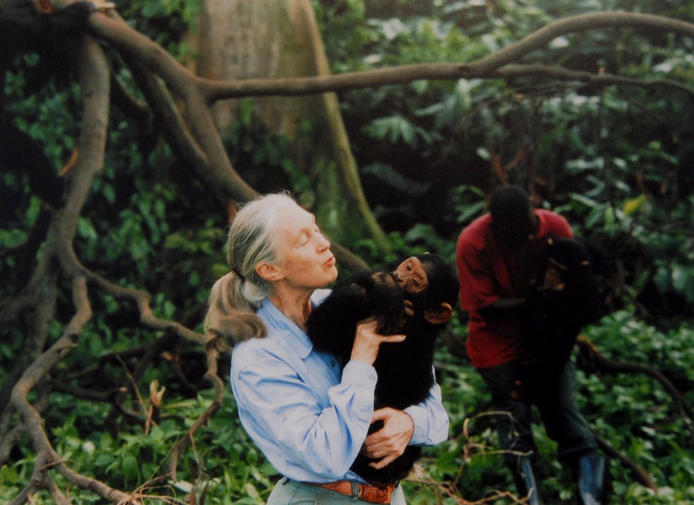 Fotos: Jane Goodall y sus chimpancés, 'honoris causa' | Ciencia | EL PAÍS