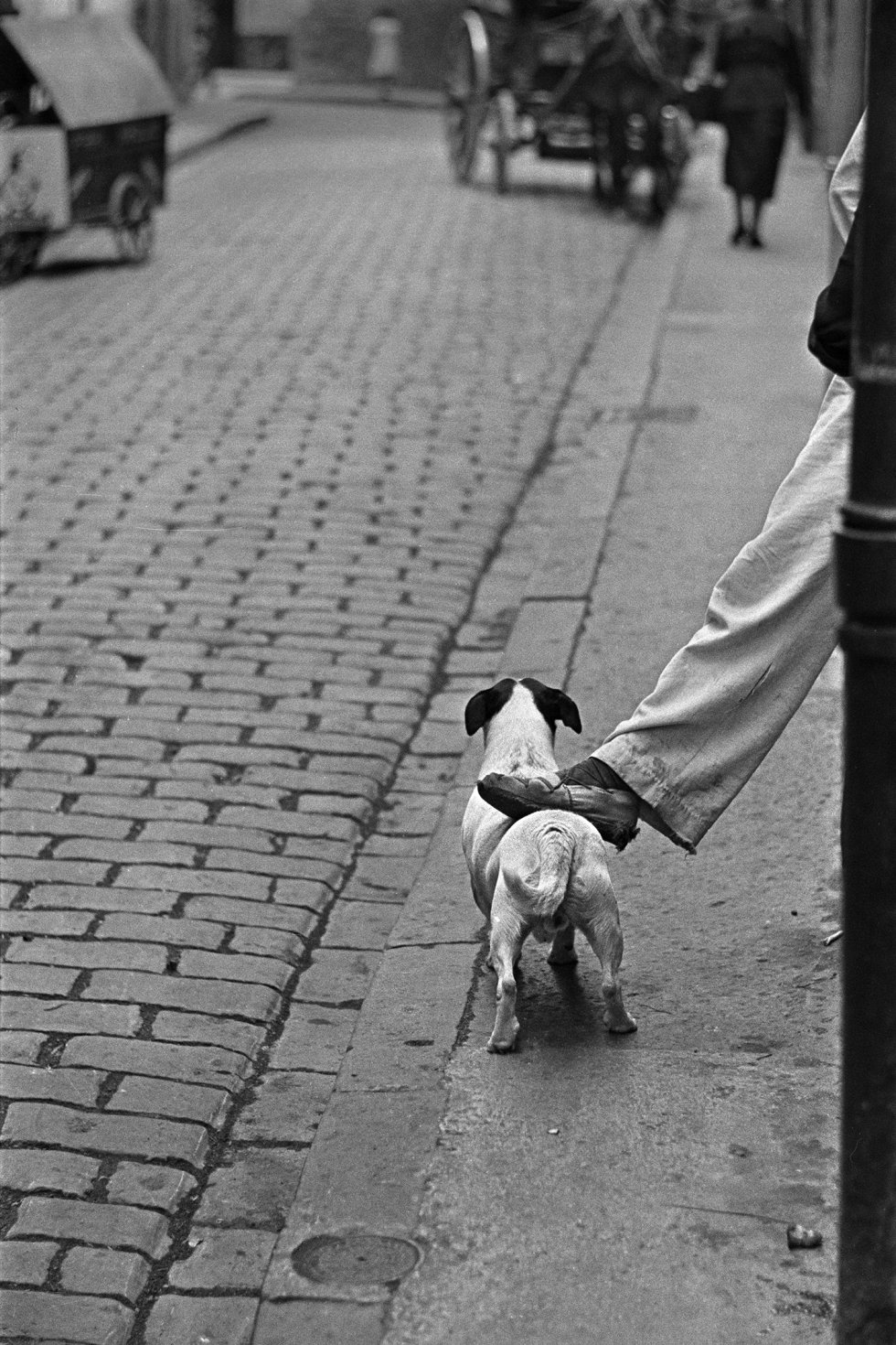 Fotos: Ramón Masats, el buen ojo del fotógrafo | EL PAÍS Semanal