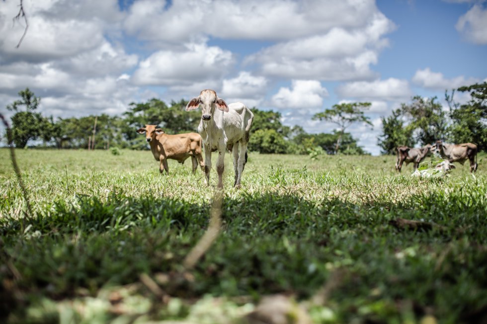 Fotos: Las olvidadas de la paz en Colombia | Internacional | EL PAÍS