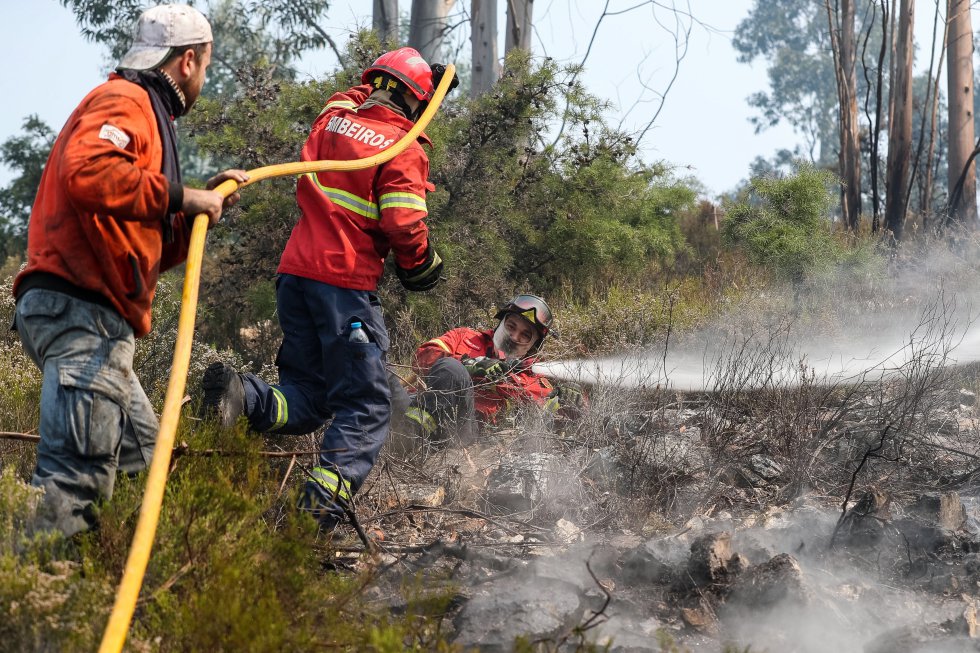 Fotos: Mais de 800 bombeiros lutam contra os incêndios em Portugal ...
