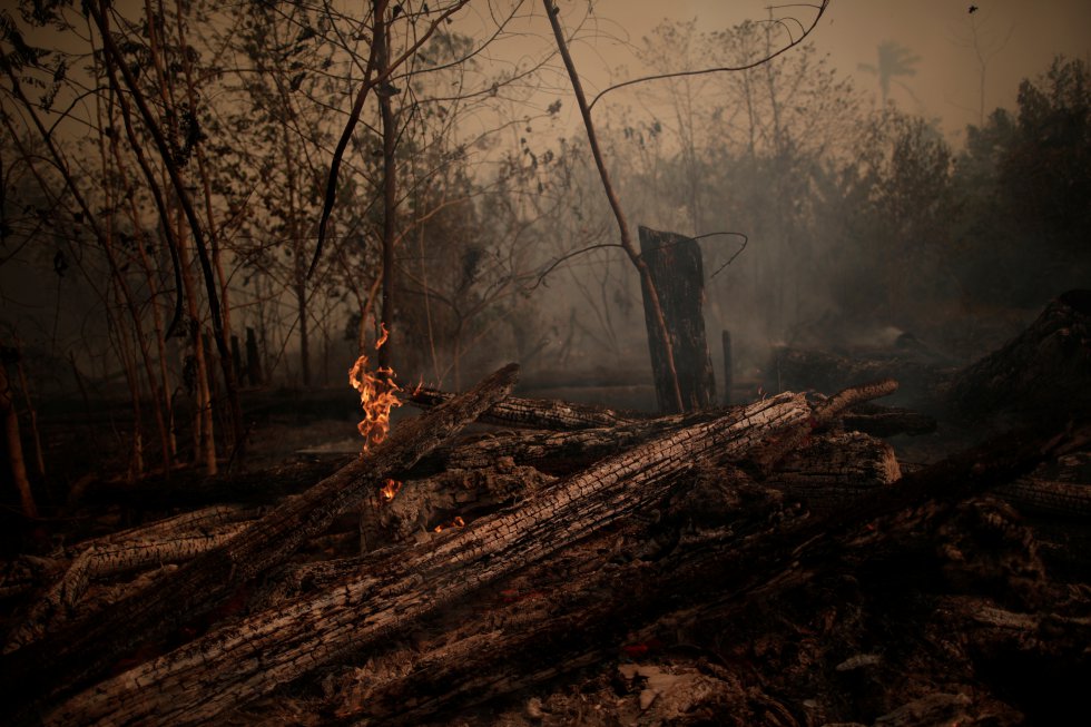 Fotos: El Amazonas devorado por los incendios, en imágenes | Ciencia ...