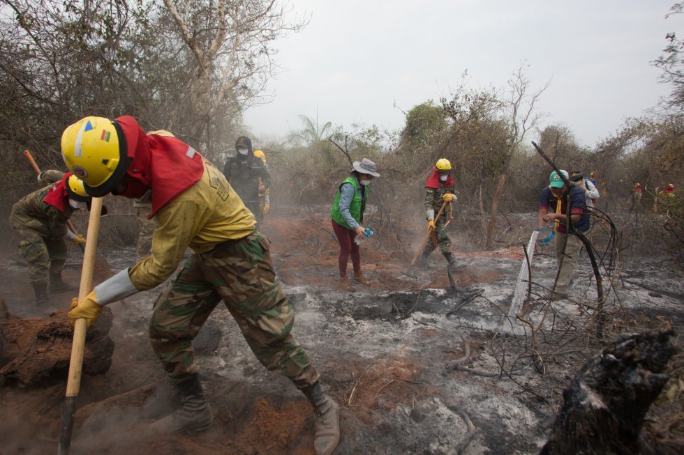 Fotos: El arduo trabajo para sofocar los incendios forestales en Bolivia, en imágenes | Sociedad ...