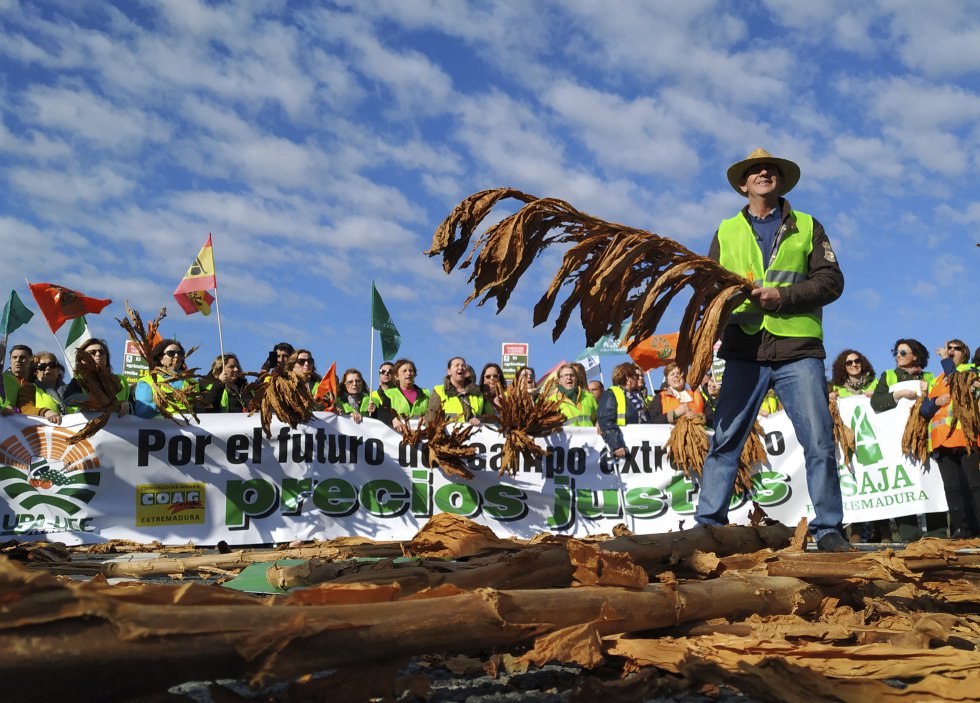 Fotos Las Protestas De Los Agricultores En Imágenes Actualidad El