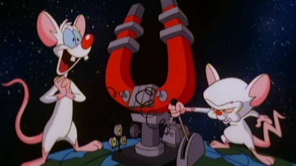 Pinky Y Cerebro Que Vamos A Hacer Esta Noche