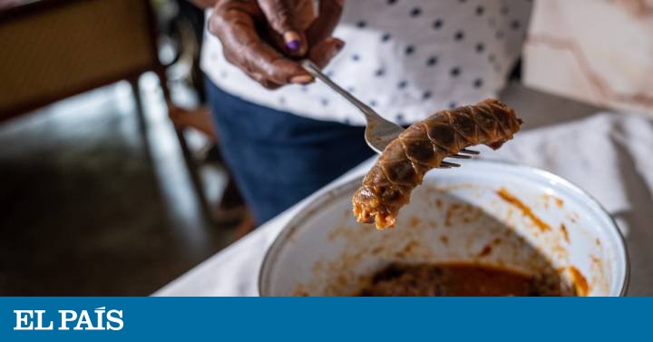 Fotos: ¡Marchando un plato de rata con berenjenas! | Planeta Futuro ...