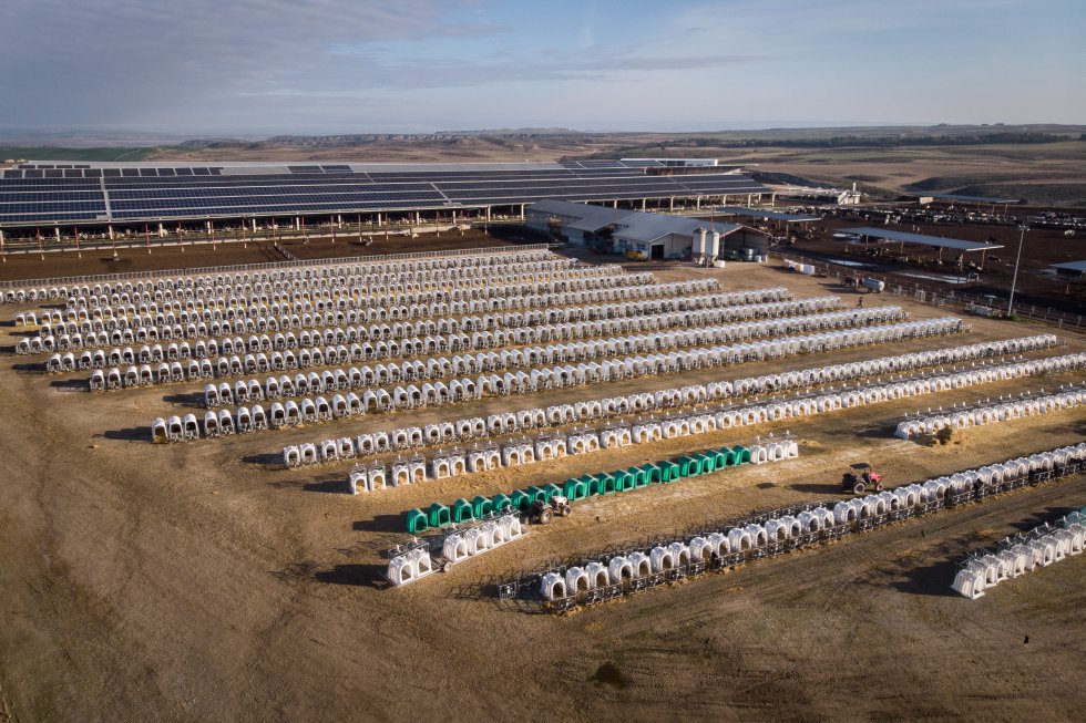 Fotos: Viaje al interior de las macrogranjas en España | Actualidad ...
