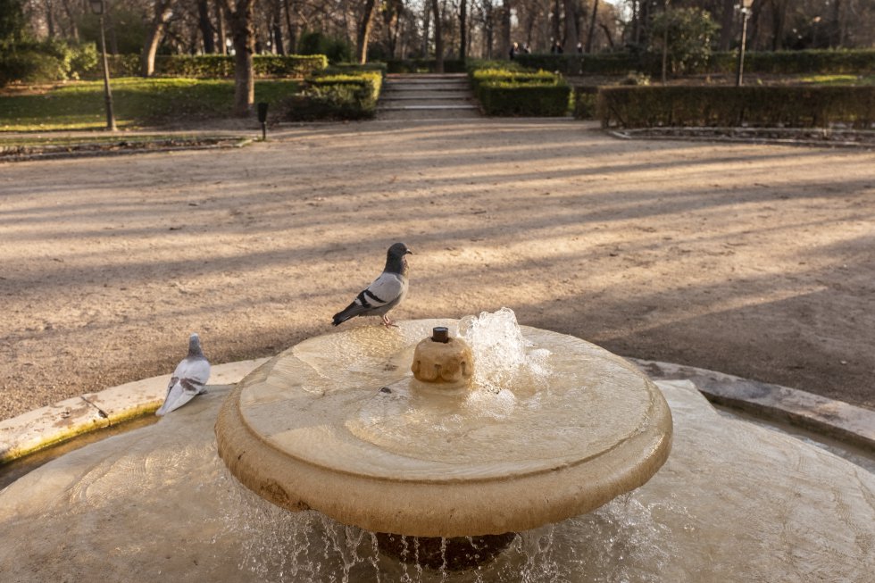 Fotos: Un paseo por los males del Retiro | Madrid | EL PAÍS