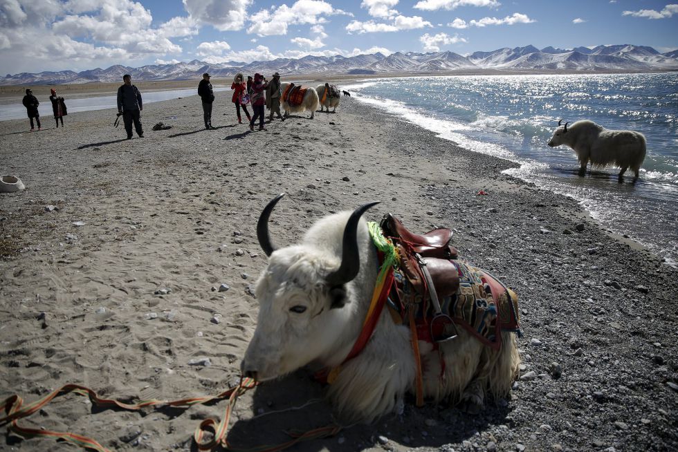 Fotos: Tibet | El Viajero | EL PAÍS