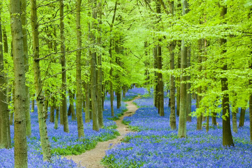 Fotos: 20 paisajes azules que te harán feliz este Blue Monday | El ...