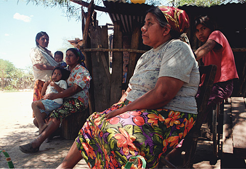 Fotos: EPS - Adiós a la dulce vida wichi | Sociedad | EL PAÍS