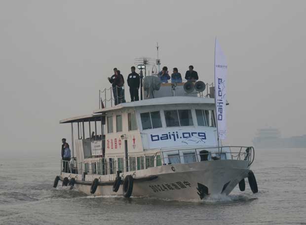 Fotos: Desaparición del delfín chino 'baiji' | Sociedad | EL PAÍS