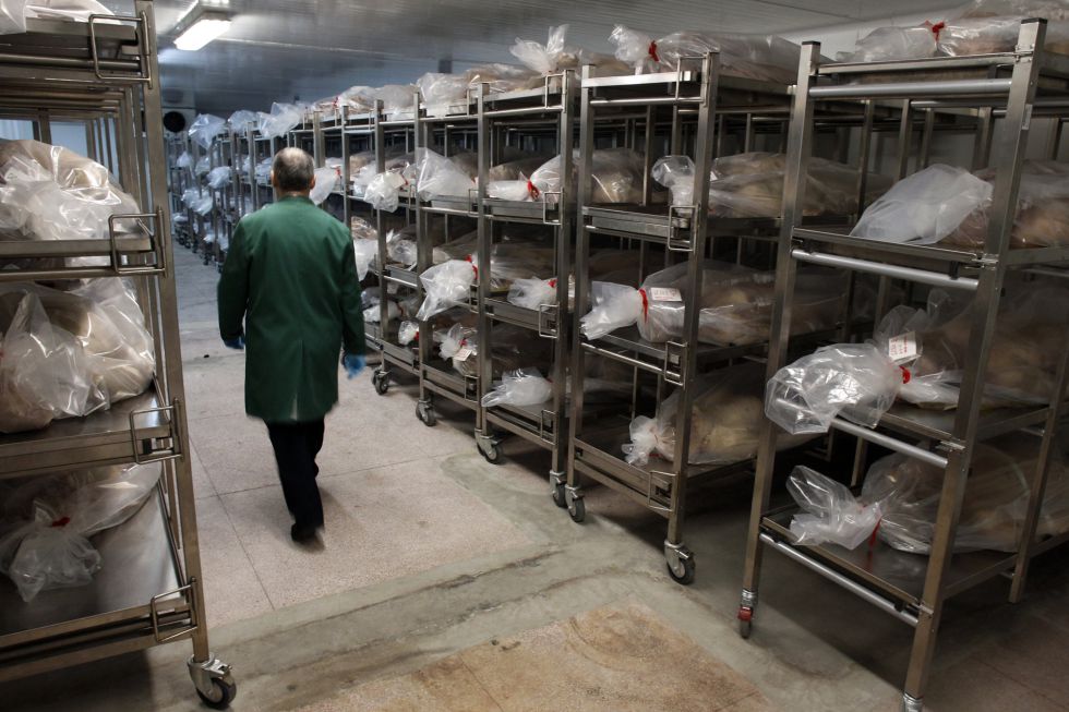 Fotos: Cadáveres para la ciencia | Sociedad | EL PAÍS